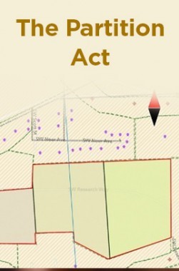 Download The Partition Act PDF Online 2020 by Panel Of Experts