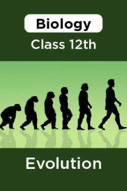 Download Biology-Evolution Class 12th by Panel Of Experts PDF Online