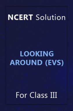 Download NCERT Solution Class 3 Looking Around (EVS) PDF Online 2020