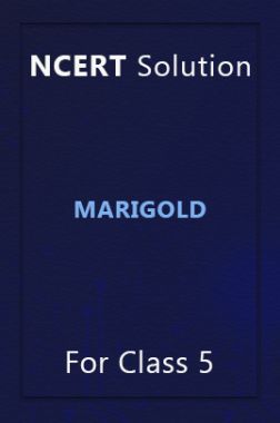 Download NCERT Class 5 Solution Marigold PDF Online 2020 by Experts